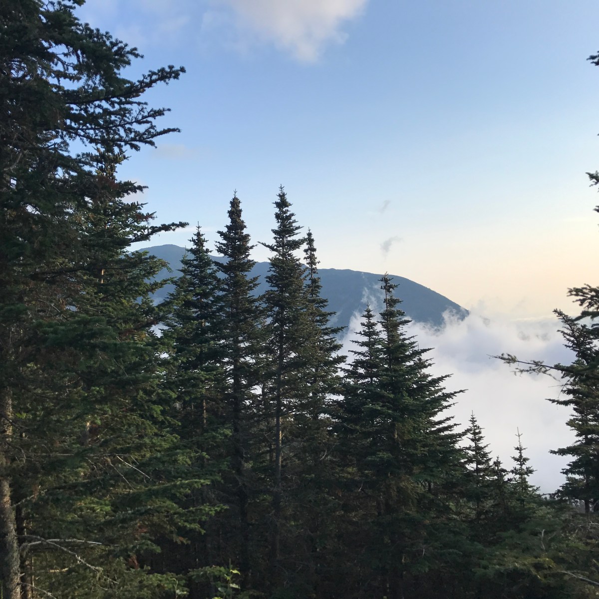 Folding Origami for God | Seeking Normalcy in Uncommon Places